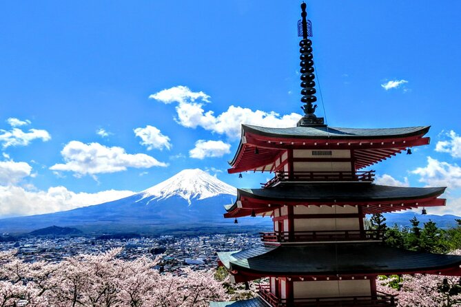 Full Day Tour of Mount Fuji and Hakone From Tokyo - What to Expect