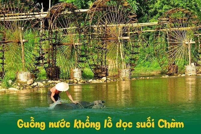 Full Day Tour Of Ninh Binh From City Center Tam Coc Or Trang An - Who Would Love This Tour?