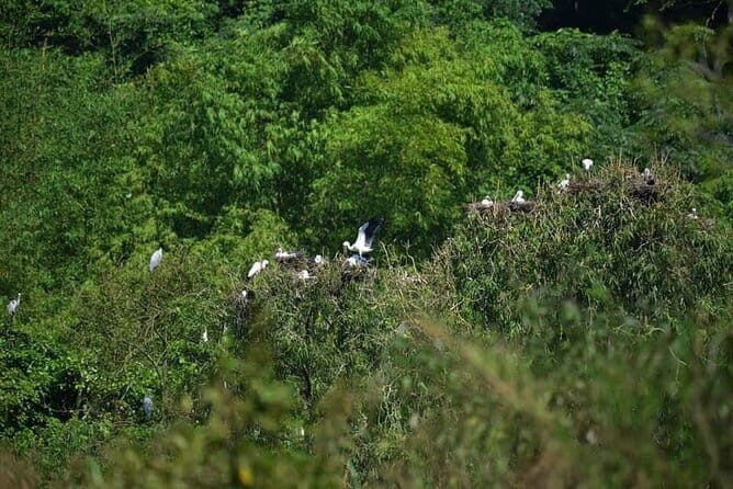 Full Day Tour Of Ninh Binh From City Center Tam Coc Or Trang An - Final Thoughts