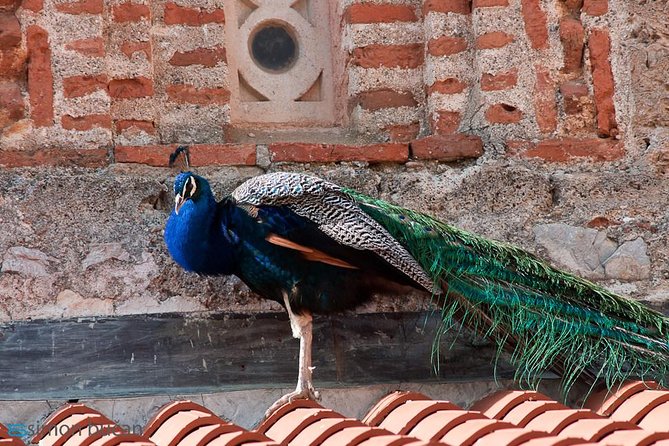 Full Day Tour of Ohrid With St Naum From Skopje - Additional Information