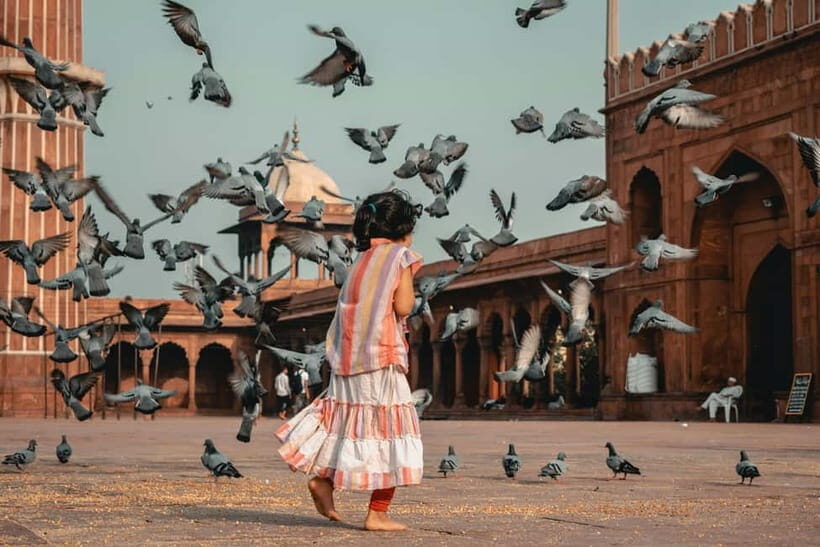 Full Day Tour of Old & New Delhi with India Iconic Red fort - Key Points