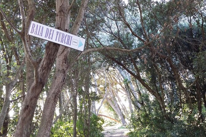 Full Day Tour of Otranto City and Its Amazing Seacoast From Lecce - Discovering Torre Dellorso Beach and Hidden Grotto Pools