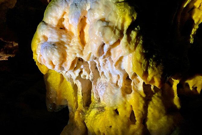 Full-day tour of Postojna Cave and Bled Lake From Ljubljana - The Sum Up