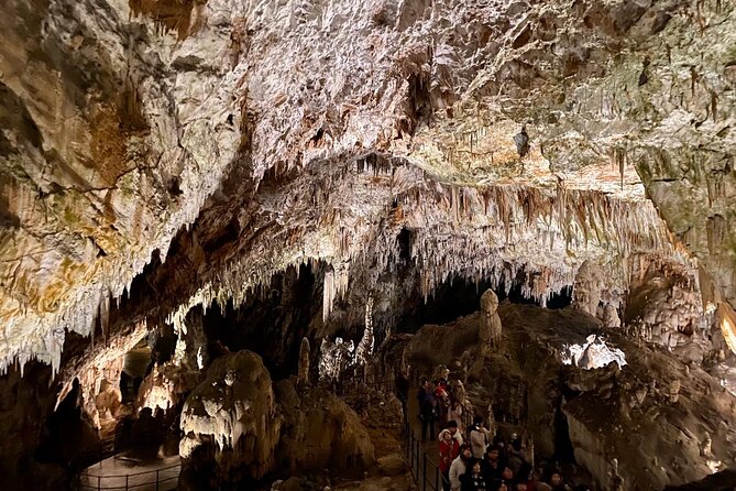 Full-day tour of Postojna Cave and Bled Lake From Ljubljana - FAQ