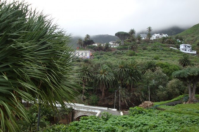 Full Day Tour of Santa Cruz and San Cristóbal De La Laguna - Key Points