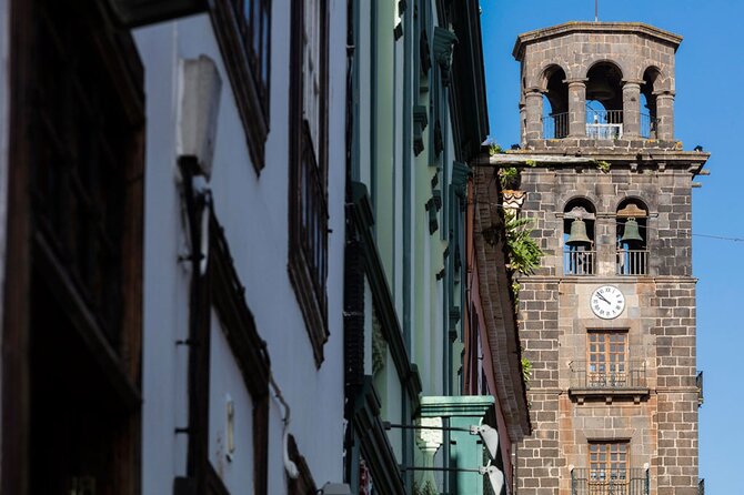 Full Day Tour of Santa Cruz and San Cristóbal De La Laguna - Guest Feedback and Reviews