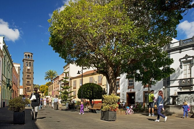 Full Day Tour of Santa Cruz and San Cristóbal De La Laguna - Frequently Asked Questions