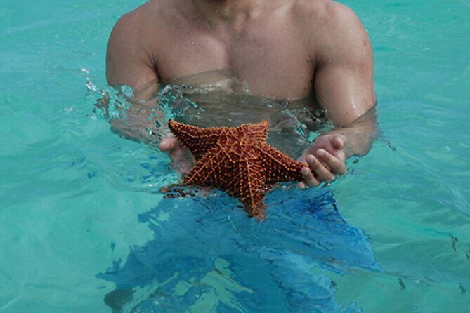 Full-Day Tour of Saona Island from Punta Cana - Who Should Consider This Tour?