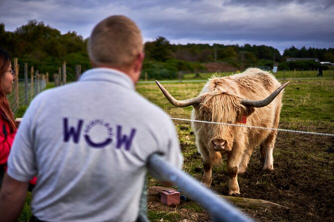 Full-Day Tour of Scotland From Invergordon - Cawdor Castle