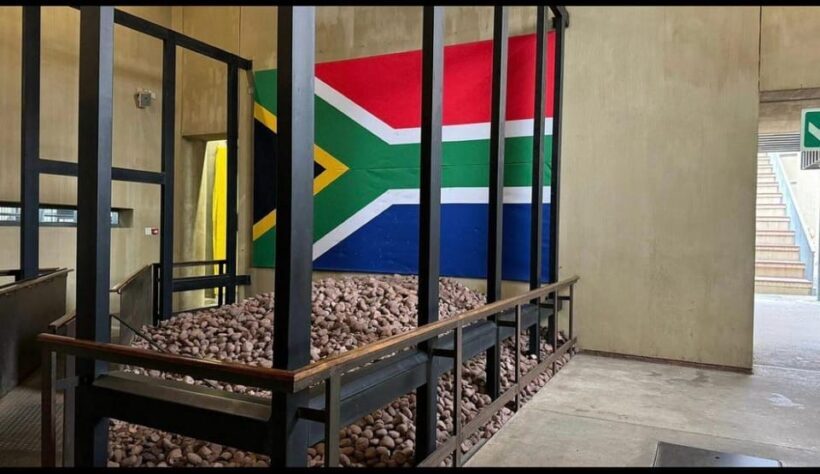Full-Day Tour of Soweto, Johannesburg, and Apartheid Museum - Key Points