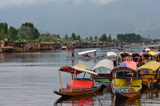 Full day tour of Srinagar with Entrance Fee, Guide & Lunch - An In-Depth Look at the Srinagar Tour Experience
