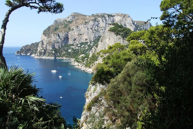 Full-Day Tour of the Amalfi Coast and Pompeii from Naples - Key Points