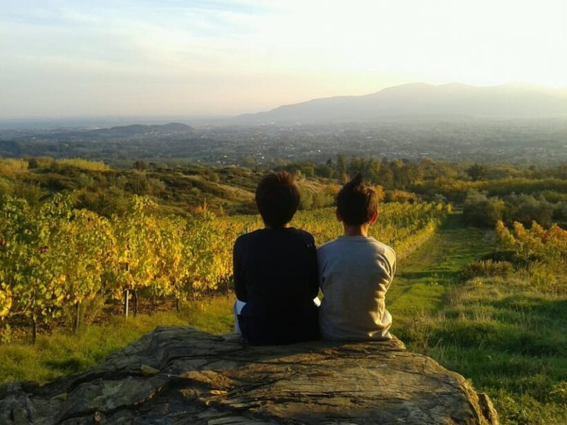 Full-Day Tour of Tuscany from Florence-small group up 8 pax - The Sum Up