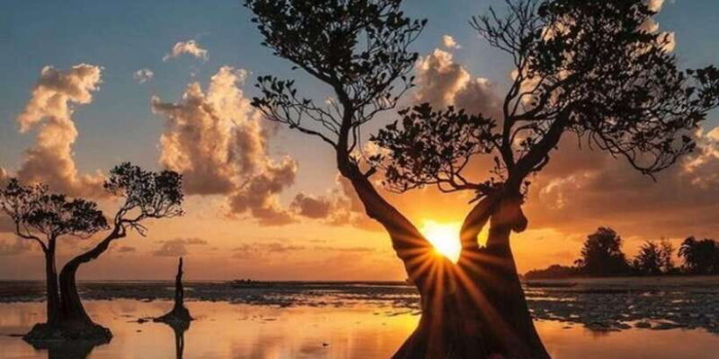 Full day tour of waterfalls, hills and beaches in Sumba - Exploring Sumba in a Day: Waterfalls, Hills, and Beaches