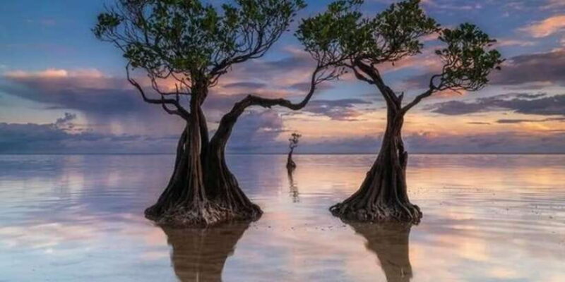 Full day tour of waterfalls, hills and beaches in Sumba - A Complete Look at the Sumba Waterfalls, Hills, and Beaches Tour