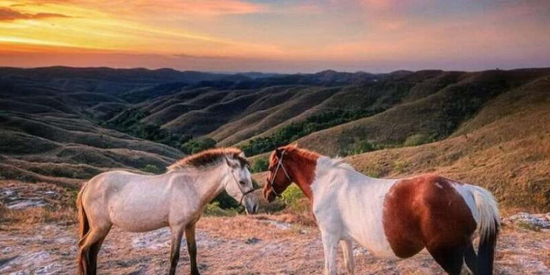 Full day tour of waterfalls, hills and beaches in Sumba - Who Will Love This Tour?