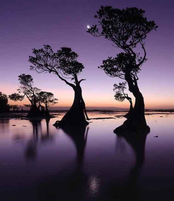 Full day tour of waterfalls, hills and beaches in Sumba - FAQ