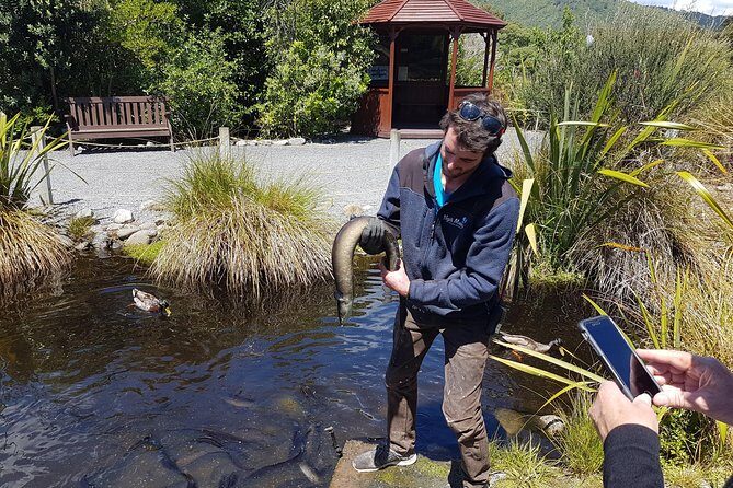 Full Day Tour of Wellington - Who Should Book This Tour?