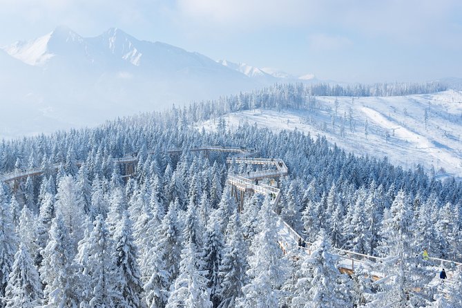 Full-Day Tour of Zakopane and Slovakia Treetop from Krakow - Analyzing the Value