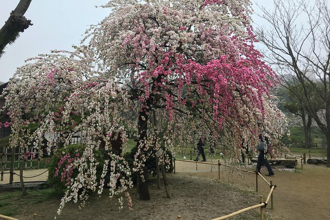 Full Day Tour on Your Arrangement - Inclusions