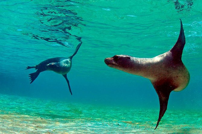 Full Day Tour Pinzon Island + La Fe/Las Palmas - Snorkeling & Fishing - Included Amenities