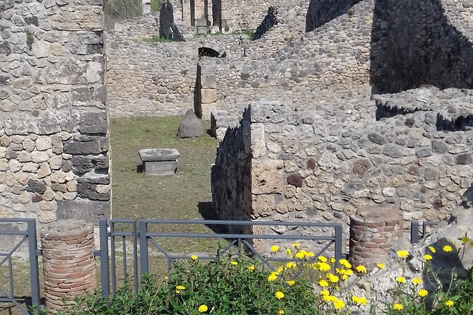 Full Day Tour Pompeii–Sorrento -Positano - Booking Process and Policies