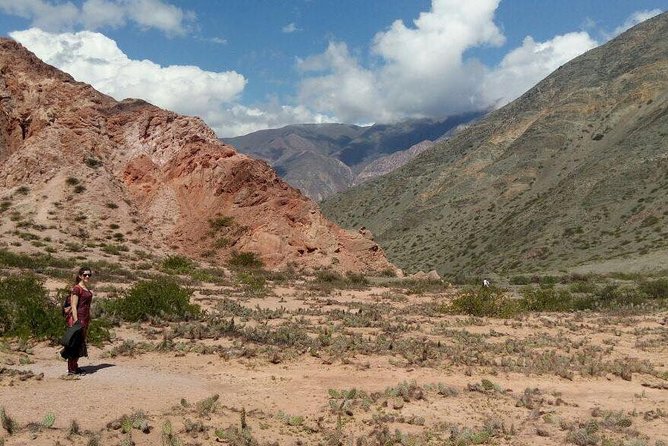 Full-Day Tour Salinas Grandes and Purmamarca From Salta - Navigating the Humahuaca Gorge