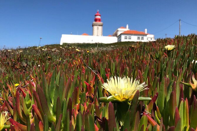 Full Day Tour: Sintra, Pena Palace, Cabo da Roca, Cascais - The Bottom Line