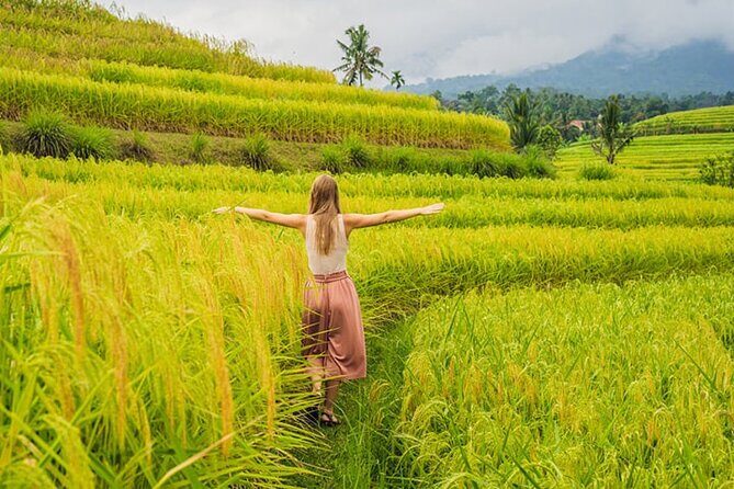 Full Day Tour Tanah Lot, Jatiluwih, Danau Beratan - How the Experience Comes to Life: Authenticity and Value