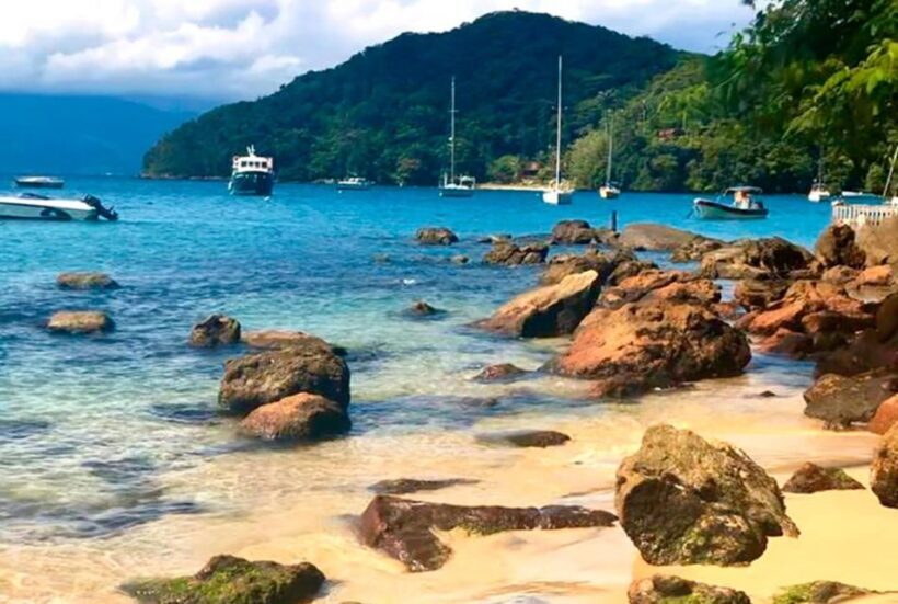 Full-Day Tour to Angra dos Reis and Ilha Grande - Authentic Reviews: What Travelers Say