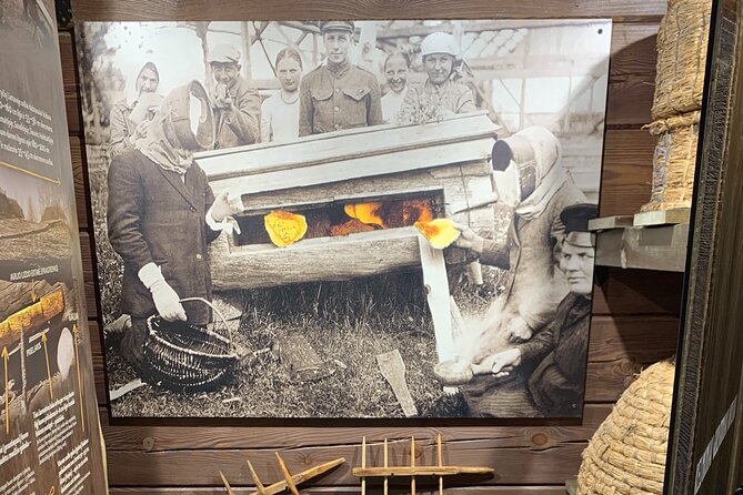 Full-Day Tour to Aukstaitija National Park from Vilnius - Final Thoughts: Who Is This Tour Best For?