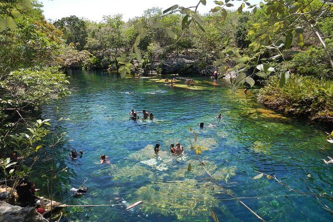Full day tour to BACALAR, Beach Club, Kayak and an amazing Cenote - The Practical Side: Transportation, Timing, and Group Size