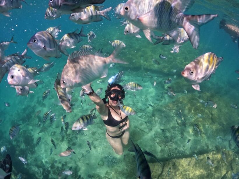 Full day tour to Búzios - Premium All Inclusive - Who Will Love This Tour?