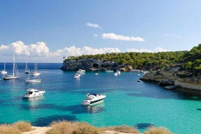 Full Day Tour to Caves of Drach and Hams With Porto Cristo and Pearl Factory - Exploring Porto Cristo