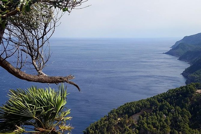 Full Day Tour to Caves of Drach and Hams With Porto Cristo and Pearl Factory - Insights Into the Majorca Pearls Factory