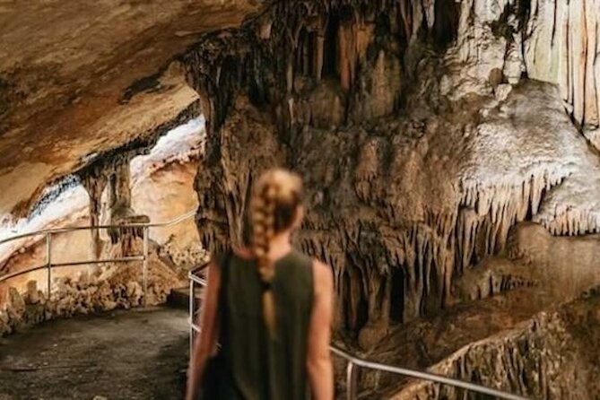 Full-day Tour to Drach Caves and Portocristo Town - Who Should Consider This Tour?