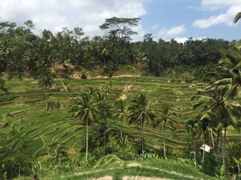 Full Day Tour To Explore Ubud with Private Car - FAQ