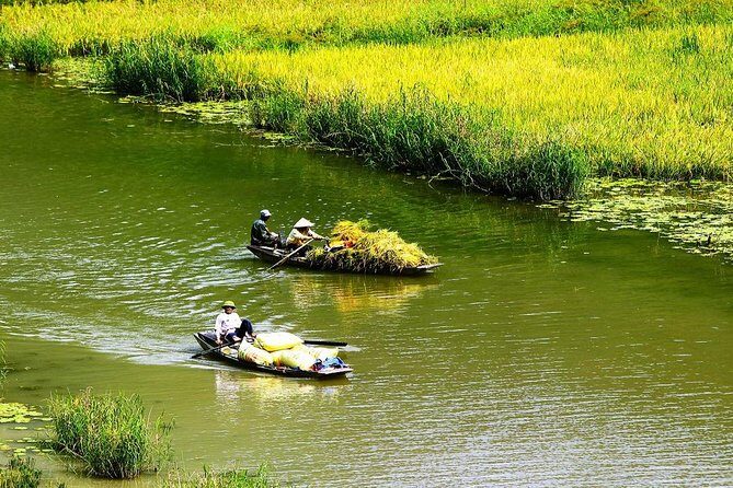 Full day tour to Hoa Lu - Tam Coc in Ninh Binh - The Sum Up
