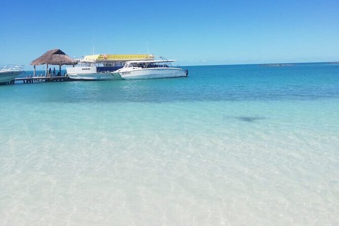 Full Day Tour to Isla Contoy and Isla Mujeres from Cancun - Who Will Love This Tour?