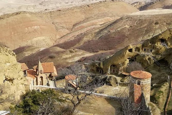 Full day tour to Kakheti: David Gareja and Signagi Town - Authentic Experiences and Traveler Insights