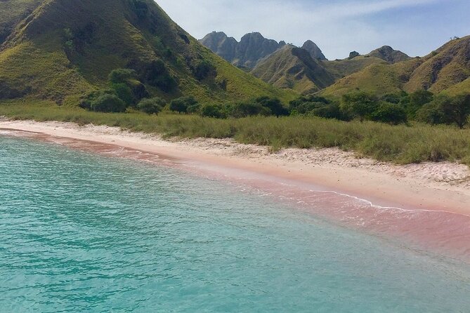 Full Day Tour to Komodo Island By Speed Boat to explore 6 destinations - The Sum Up