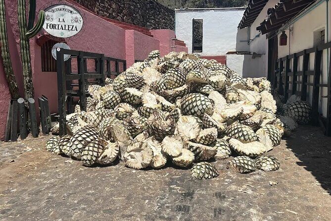 Full-Day Tour to La Fortaleza Distillery and Cantaritos - Authentic Tequila and Cantaritos: A Full-Day Tour from Guadalajara