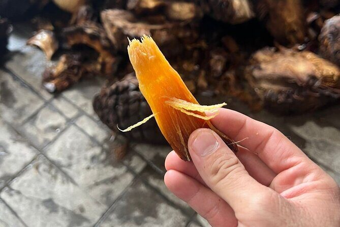 Full-Day Tour to La Fortaleza Distillery and Cantaritos - The Sum Up