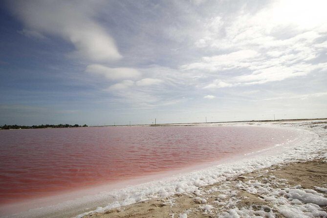 Full-Day Tour to Las Coloradas Pink Paradise in Yucatan and Rio Lagartos. - An In-Depth Look at the Tour Experience