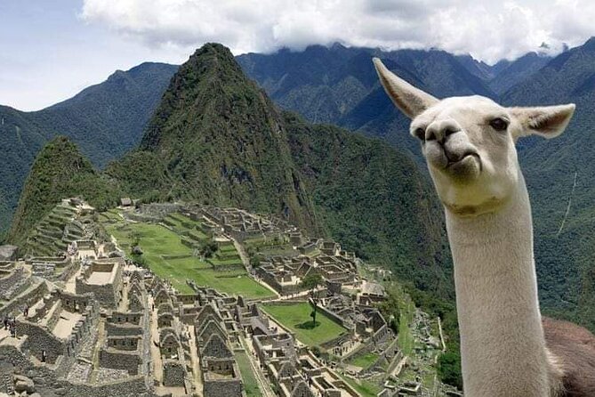 Full Day Tour to Machu Picchu From Cusco - Pricing and Reviews