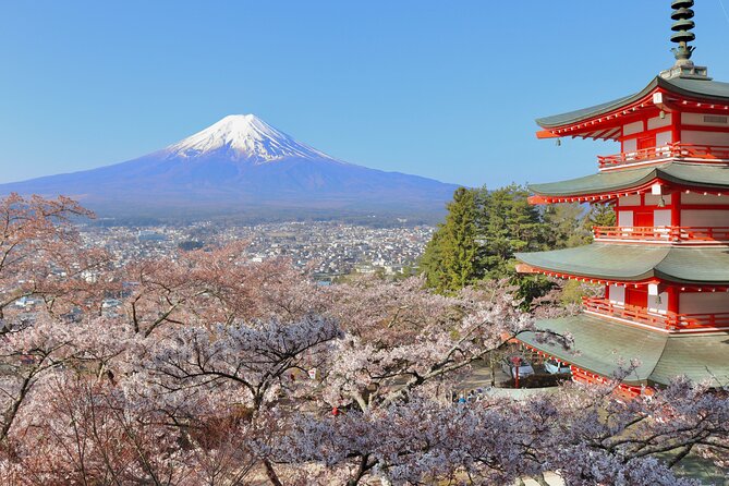 Full Day Tour to Mount Fuji in Spanish - Memorable Experiences and Feedback