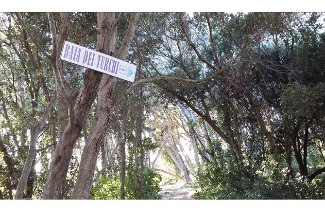 Full Day Tour to Otranto Coast Most Beautiful Beaches From Lecce - Personalized Itinerary and Flexible Schedule