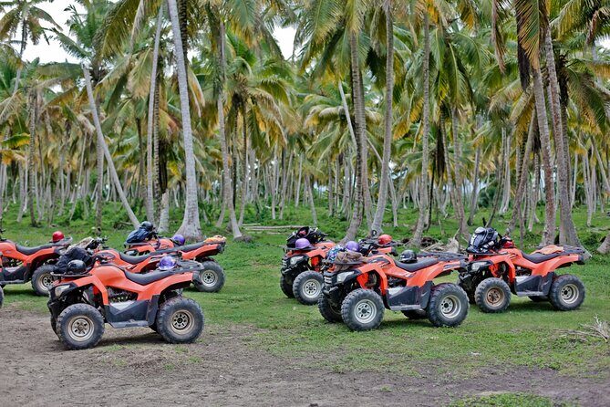 Full-Day Tour to Playa Limon and Montana Alto by 4WD - The Value of This Tour