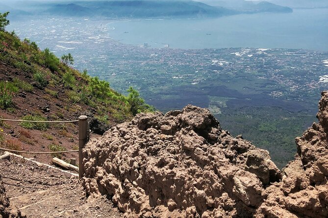 Full Day Tour to Pompeii, Vesuvius and Wine Tasting - Who Will Appreciate This Tour?