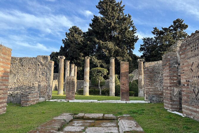 Full Day Tour to Pompeii, Vesuvius and Wine Tasting - Frequently Asked Questions